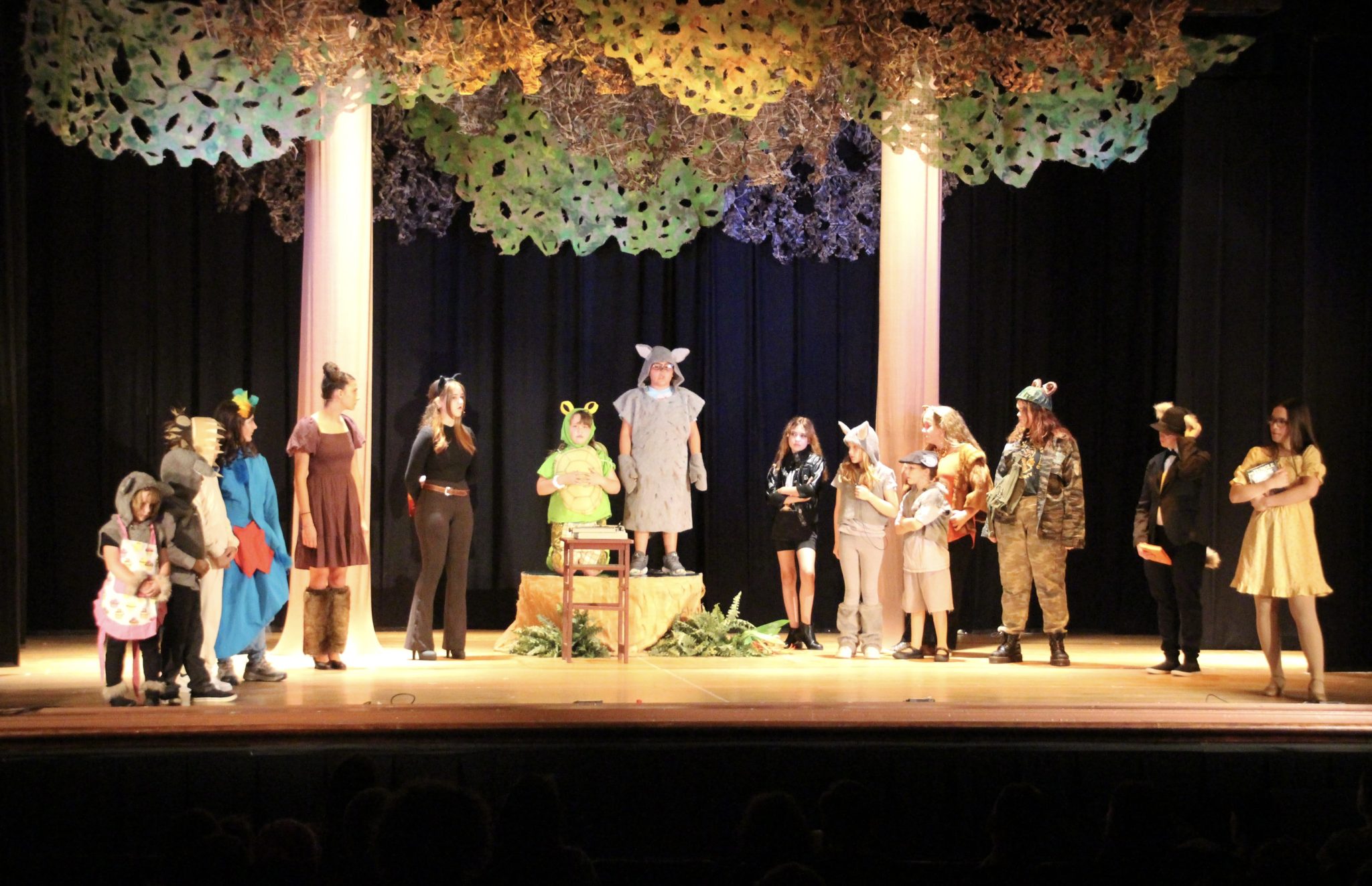 Swamp Meadow Community Theatre – Building Community through Theatre